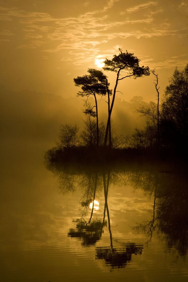 Oisterwijkse Vennen, Netherlands