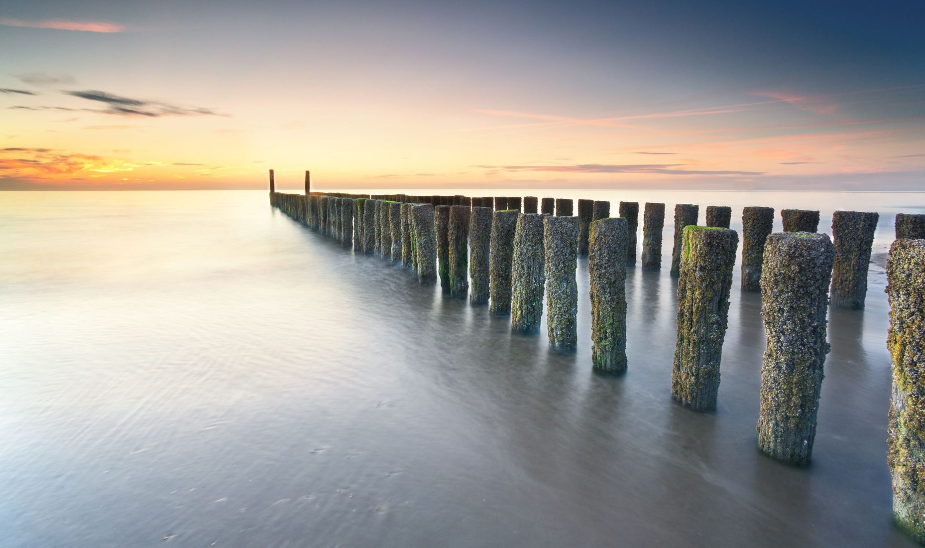 Wooden Breakwater, Domburg, Netherlands
