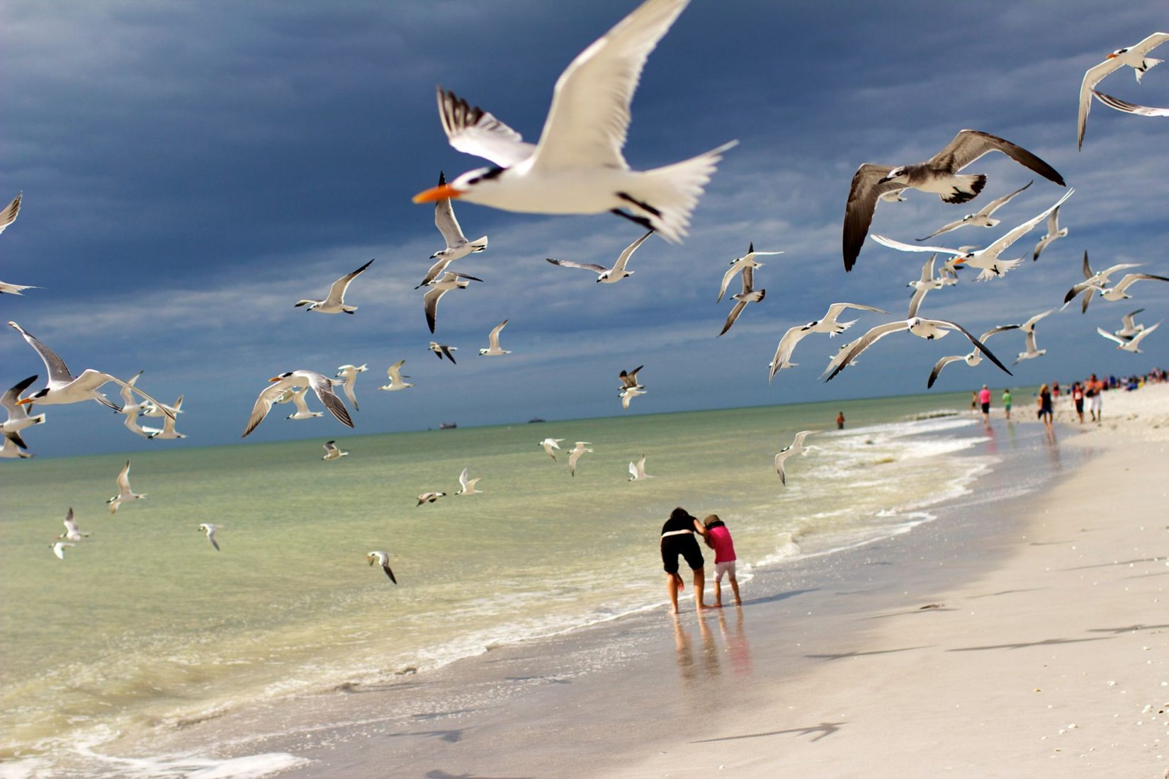 Sanibel Island, USA