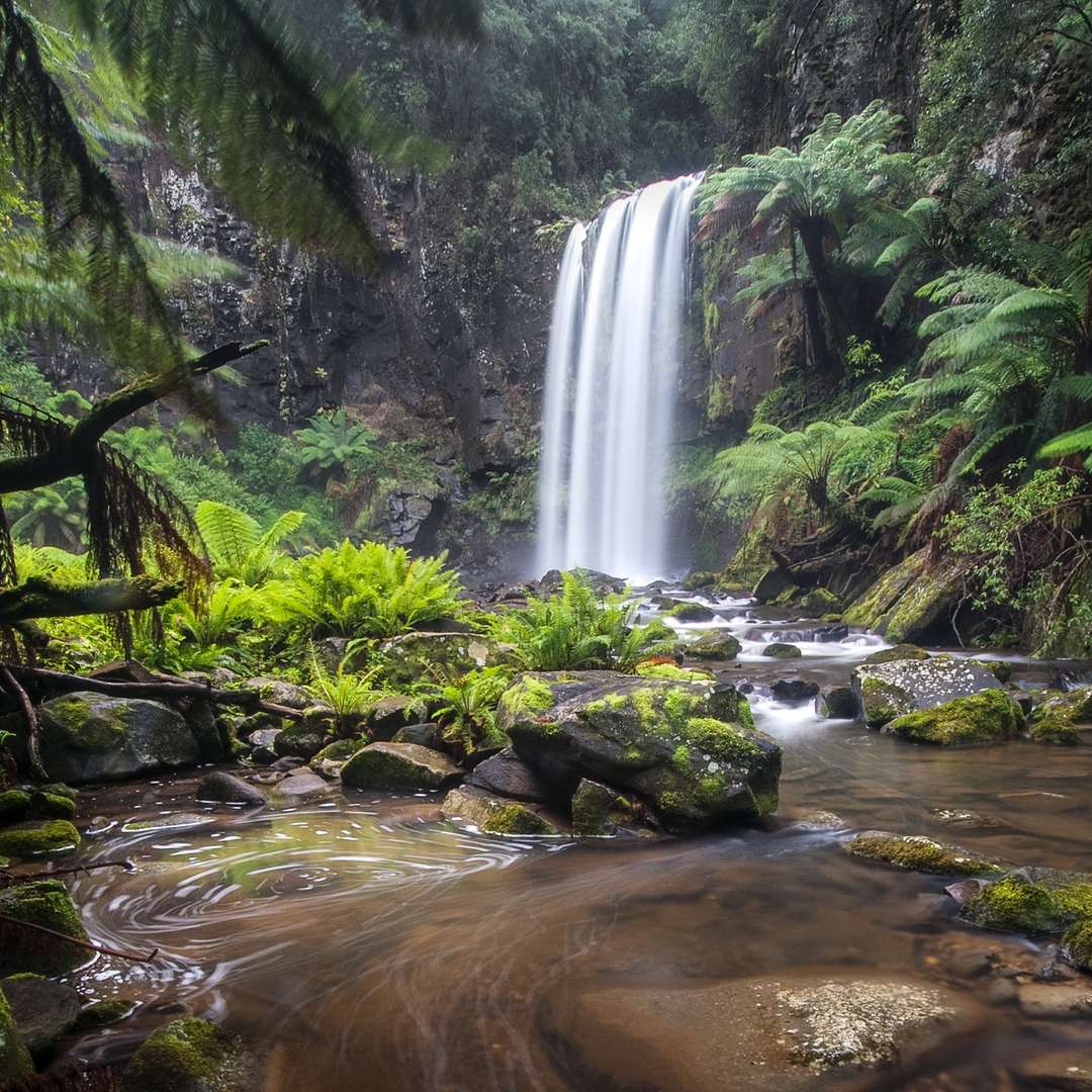 Top Photo Spots at triplet falls in 2026
