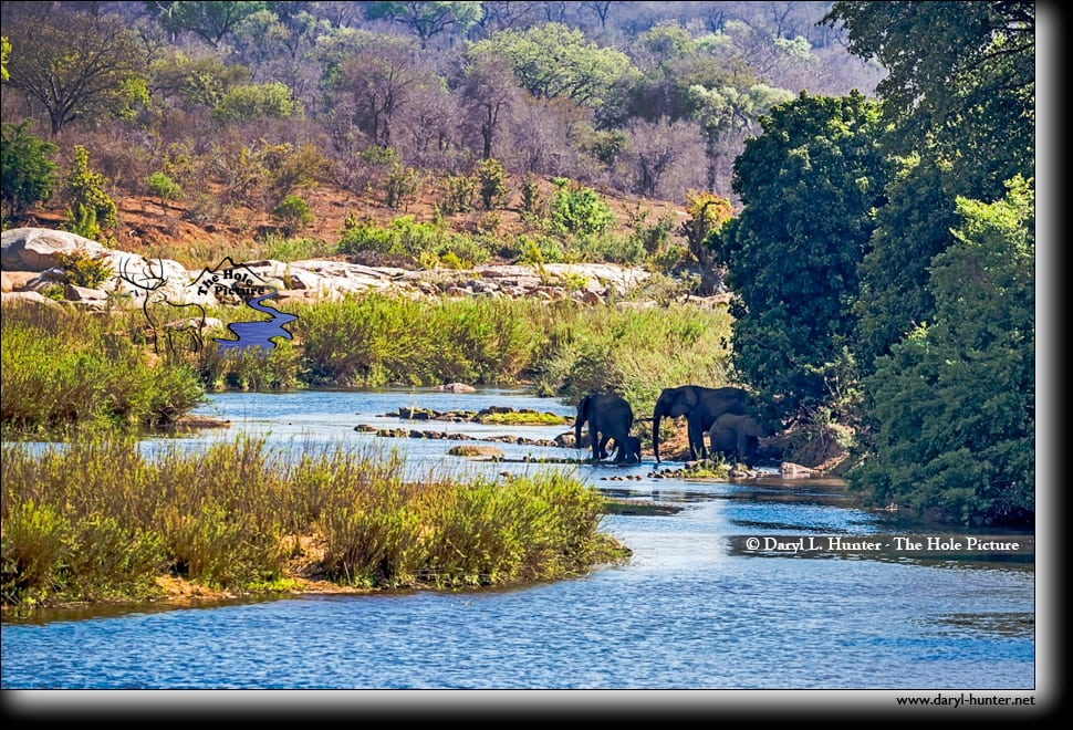Sabi River, South Africa