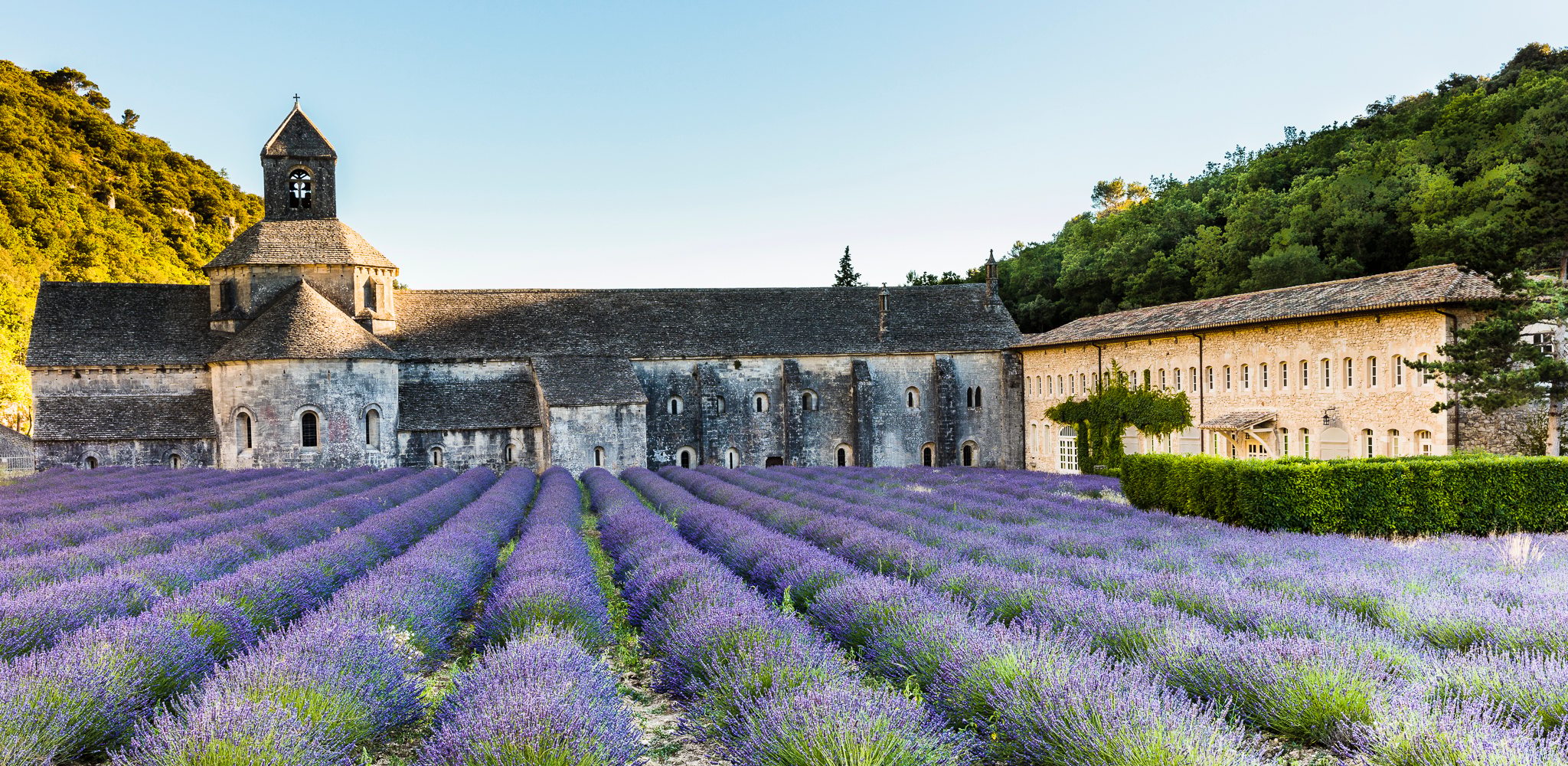 Top 2 Photo Spots at Notre-Dame de Sénanque in 2023