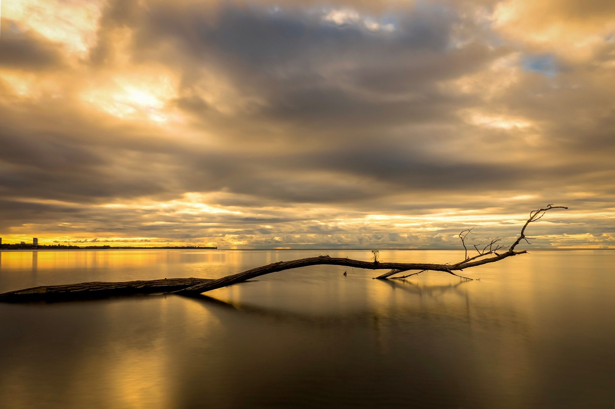 Top Photo Spots at Humber Bay Arch Bridge in 2024