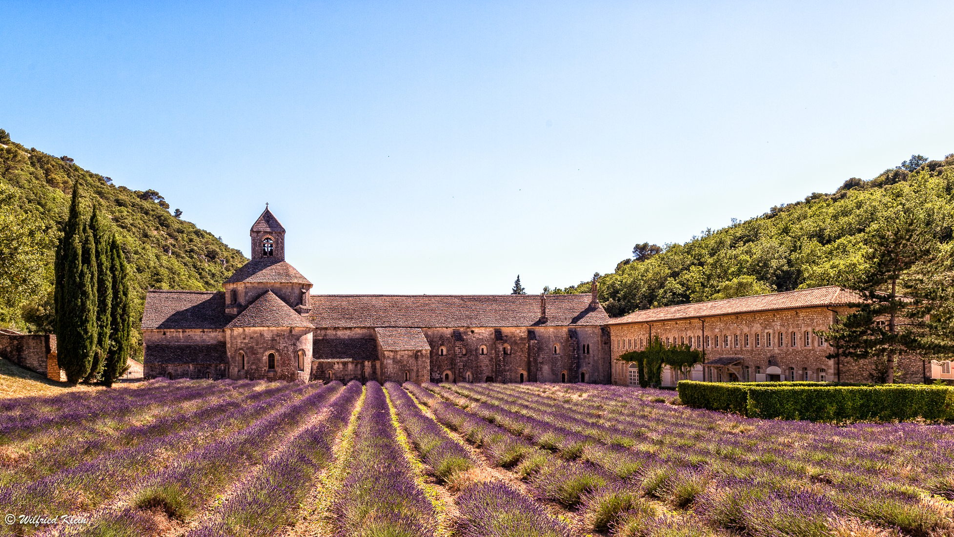 Lavender blossom at Notre-Dame de Sénanque, France