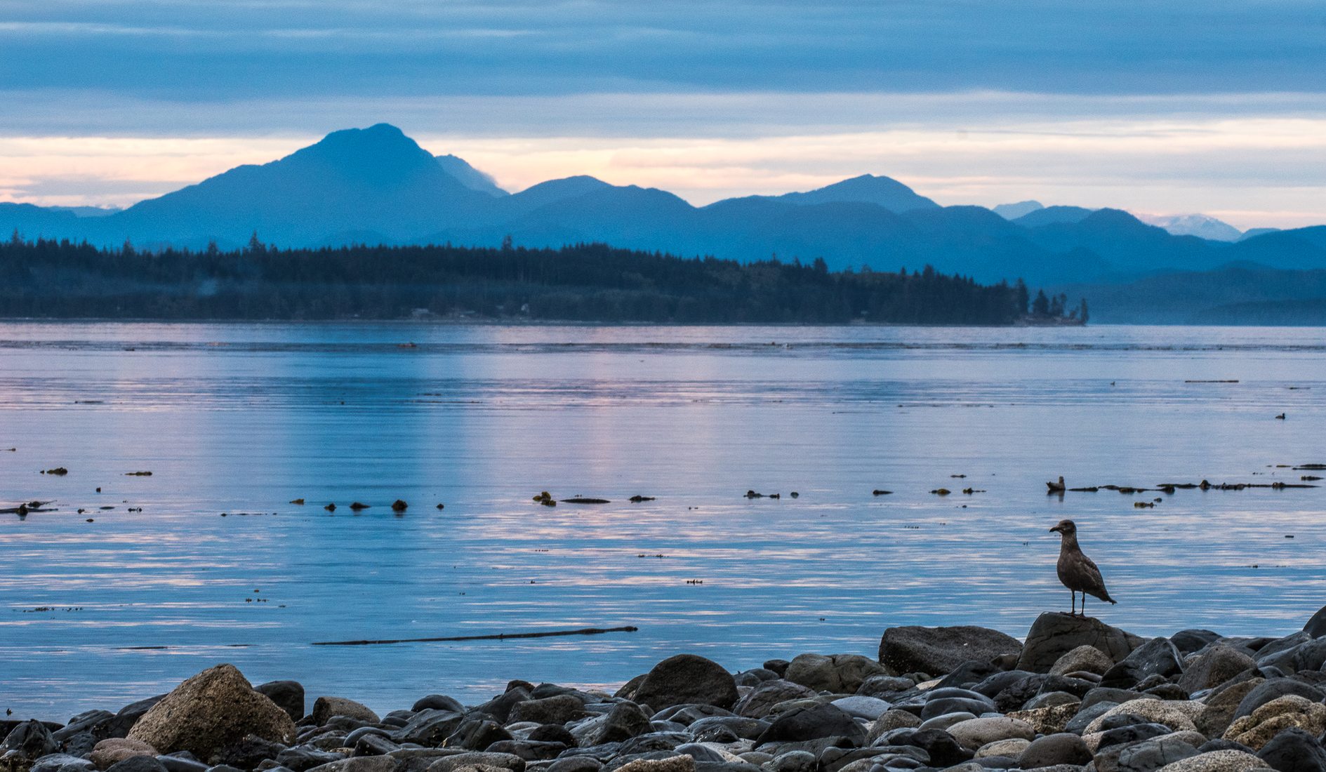Vancouver Island (Northern), Canada