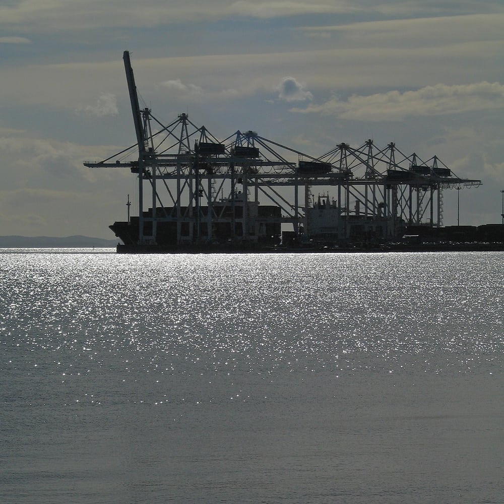 Top Photo Spots at Roberts Bank in 2024