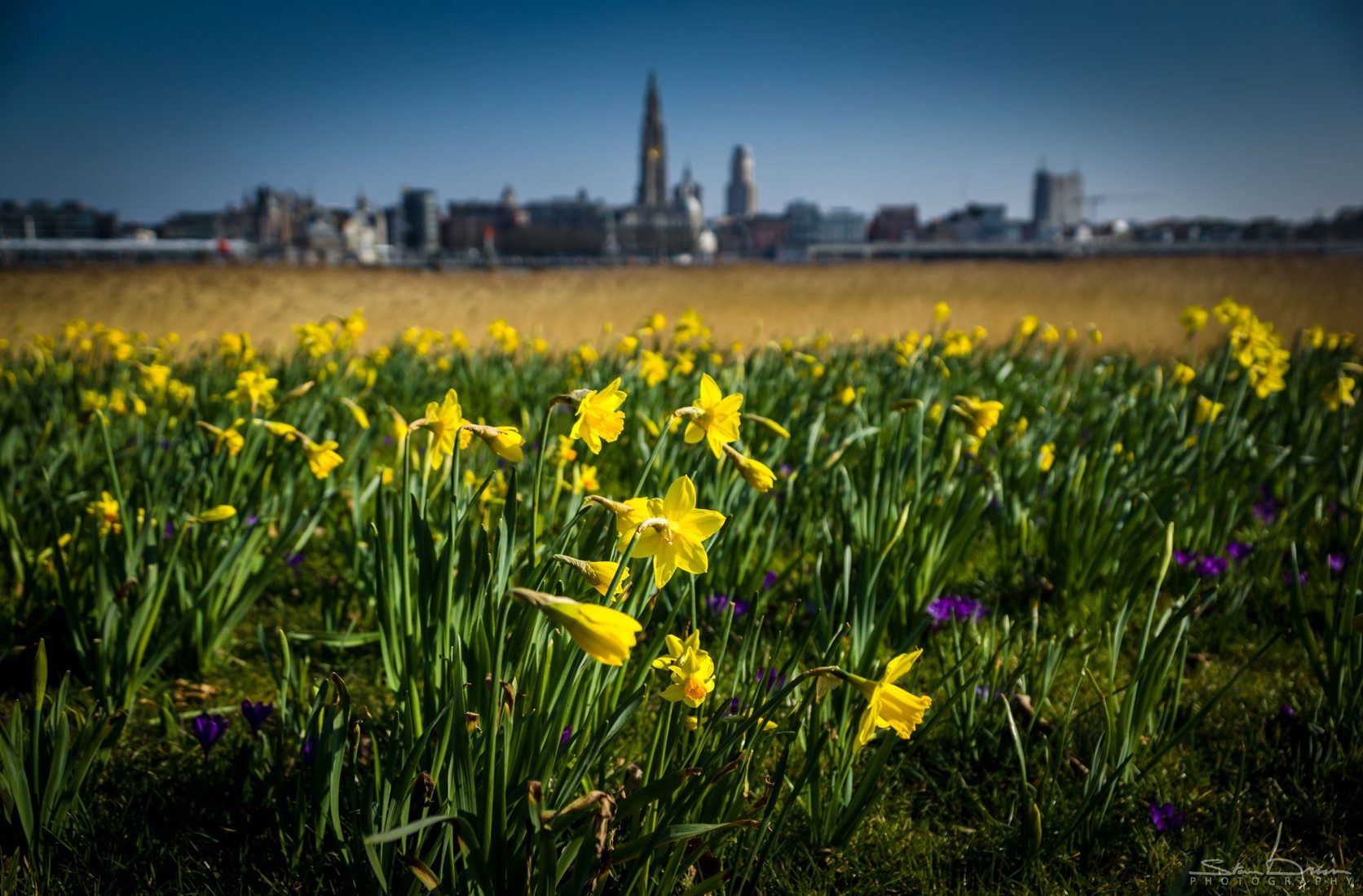 Spring in Antwerp, Belgium