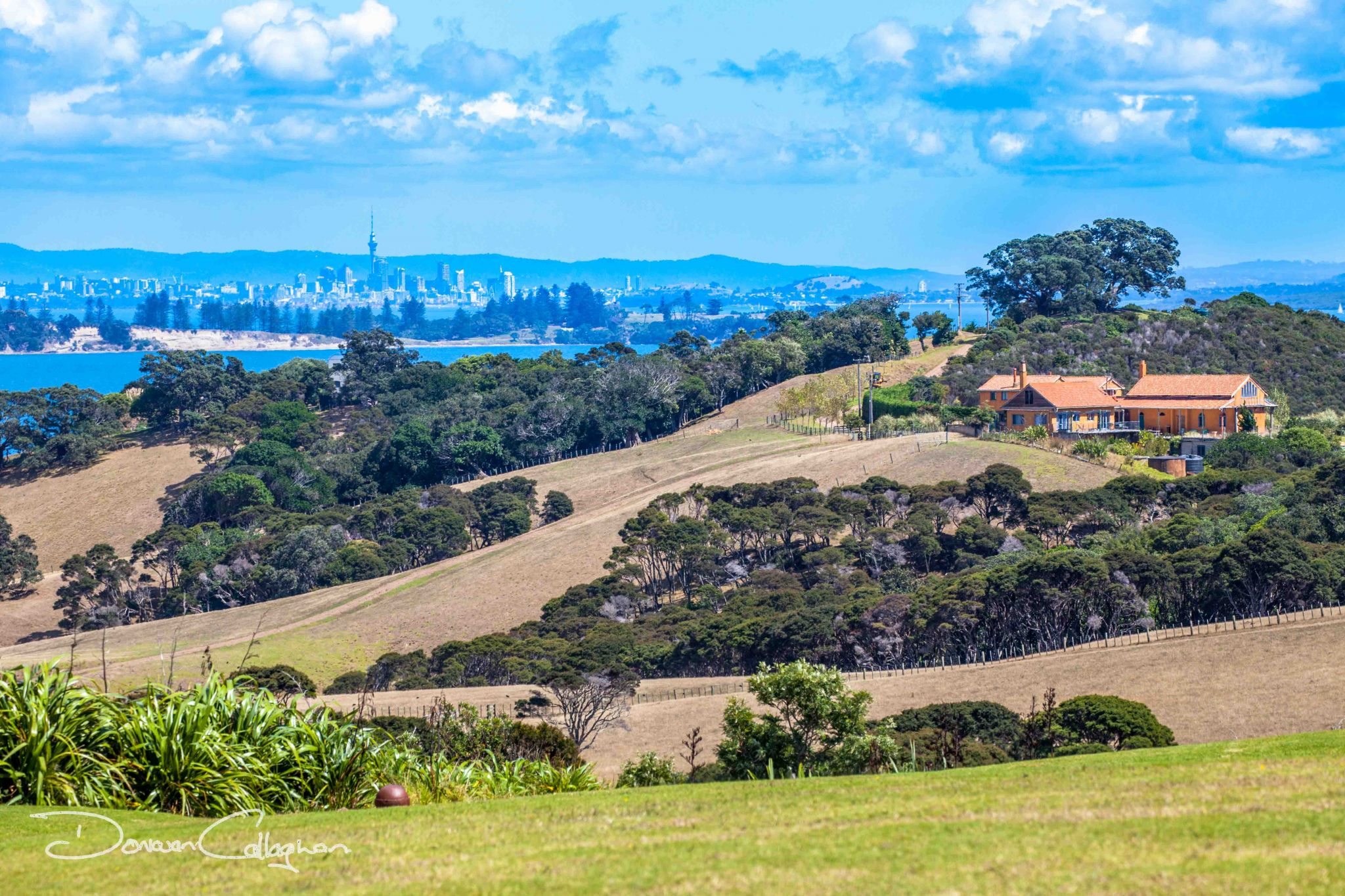Top Photo Spots at Cable Bay Winery in 2024