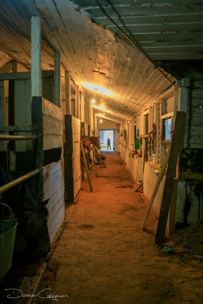 Nuwara Eliya Race Course stables, Sri Lanka
