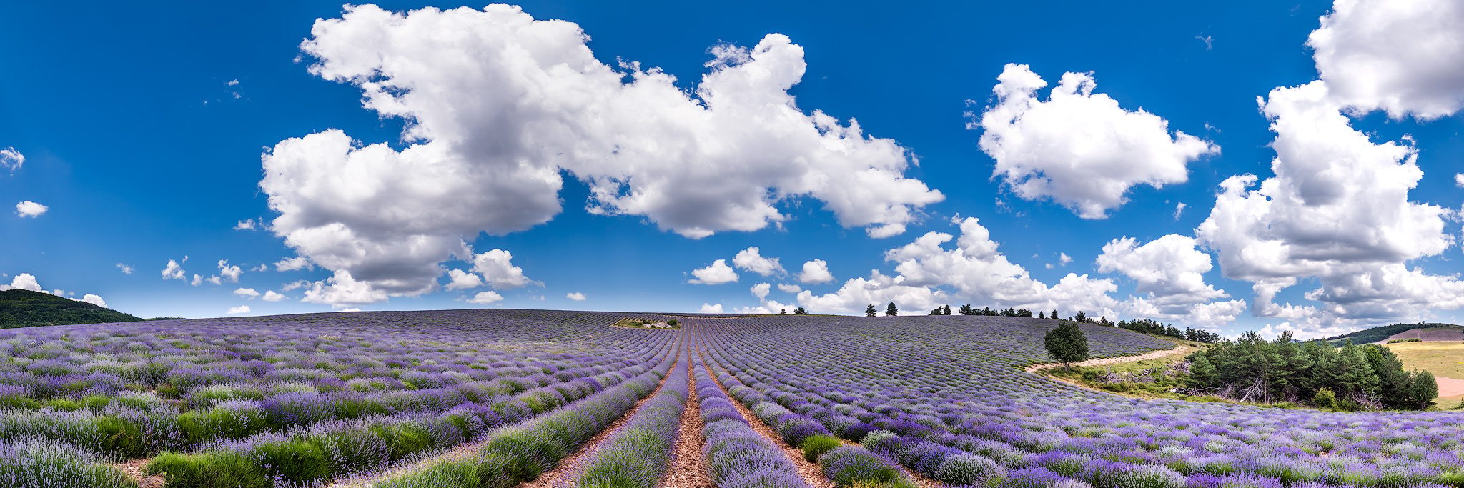 Top 6 Photo Spots at Drôme in 2024