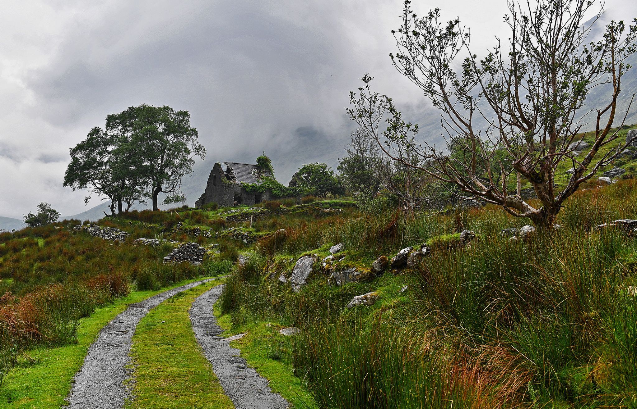 Top Photo Spots at Slate House in 2024