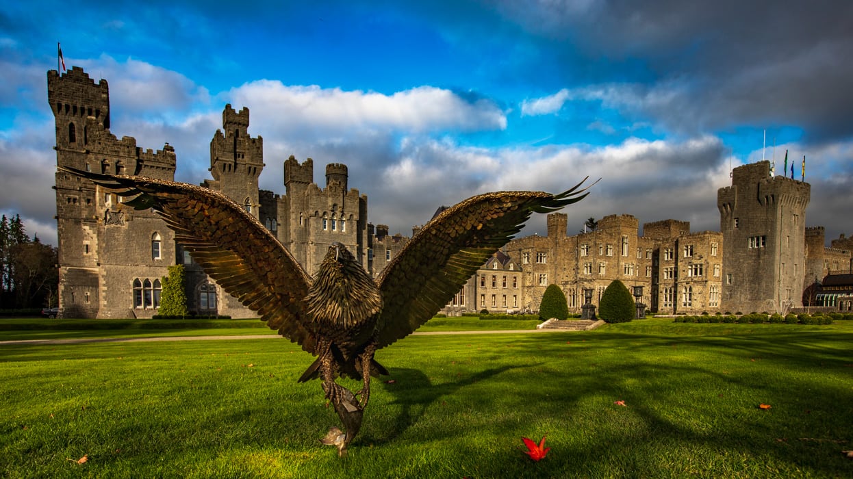 Ashford castle Eagle, County Mayo, Ireland