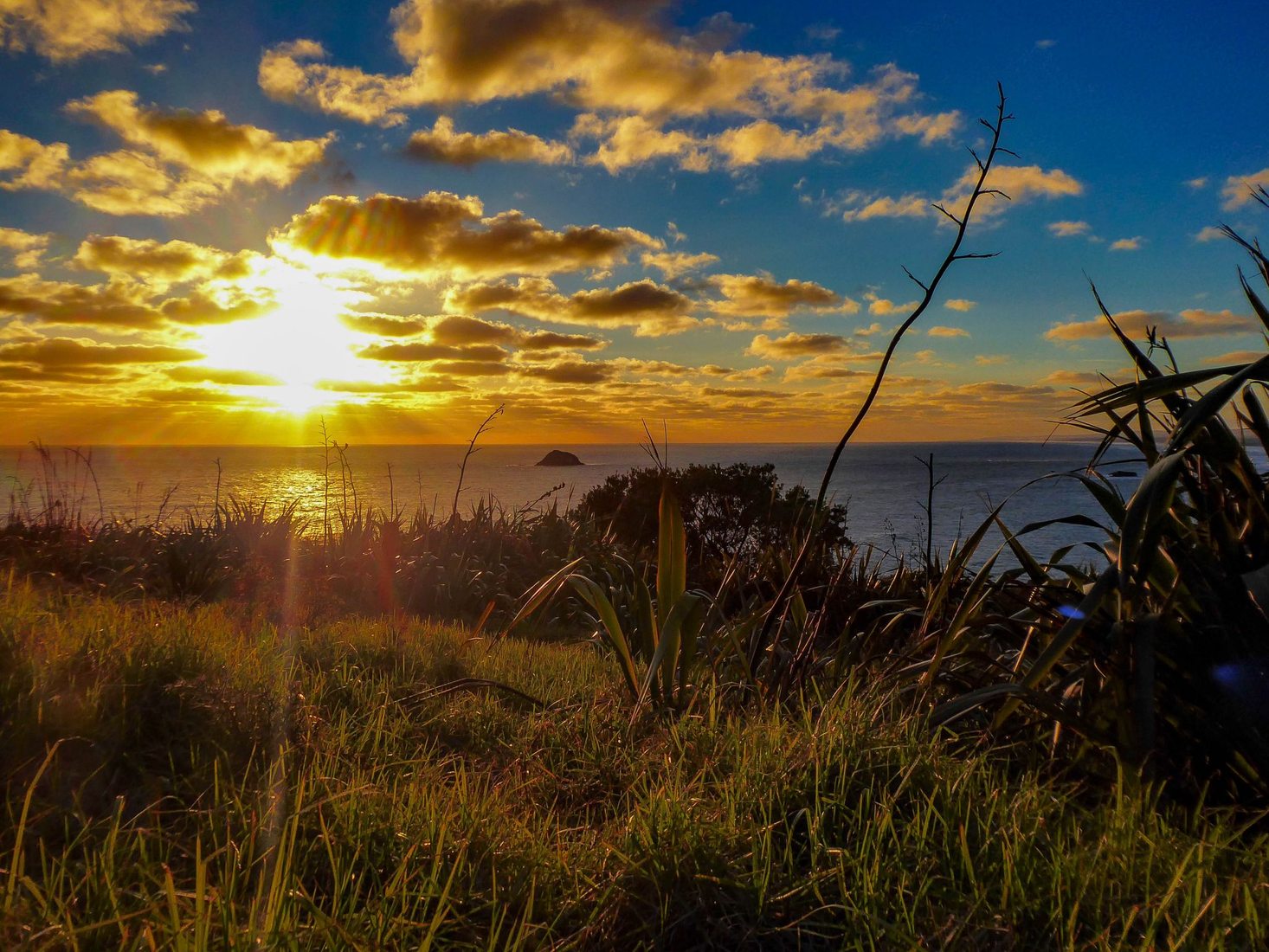 Te Henga Walkway, New Zealand