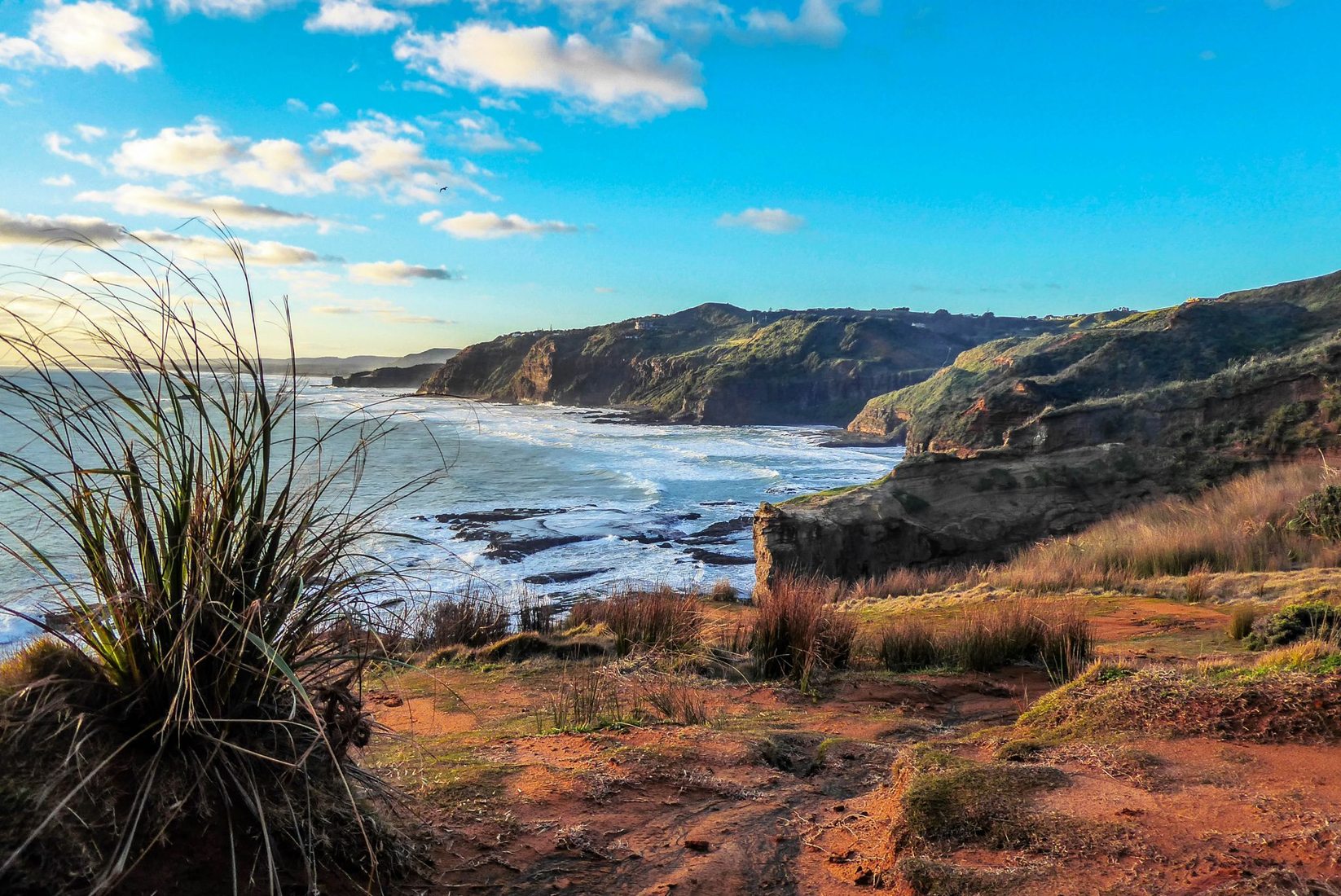 Te Henga Walkway, New Zealand