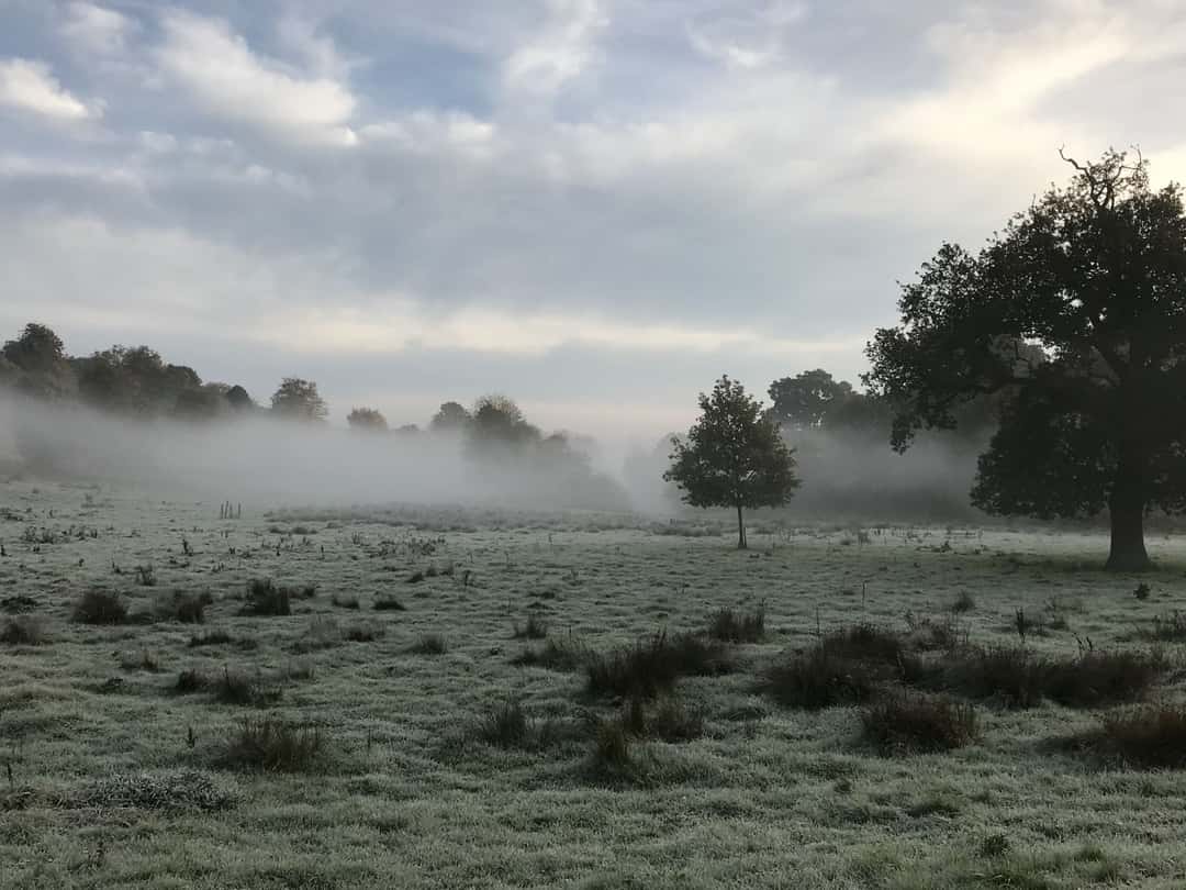 Teston Bridge Country Park, United Kingdom