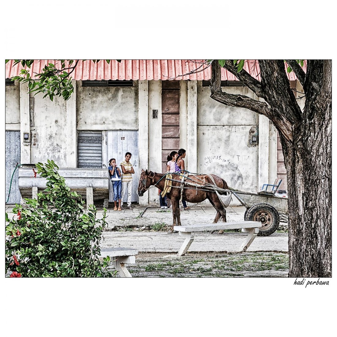 antilla, Cuba
