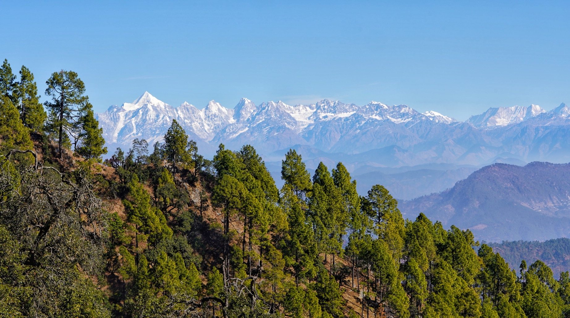 Binsar Wildlife Sanctuary, Uttarakhand, India