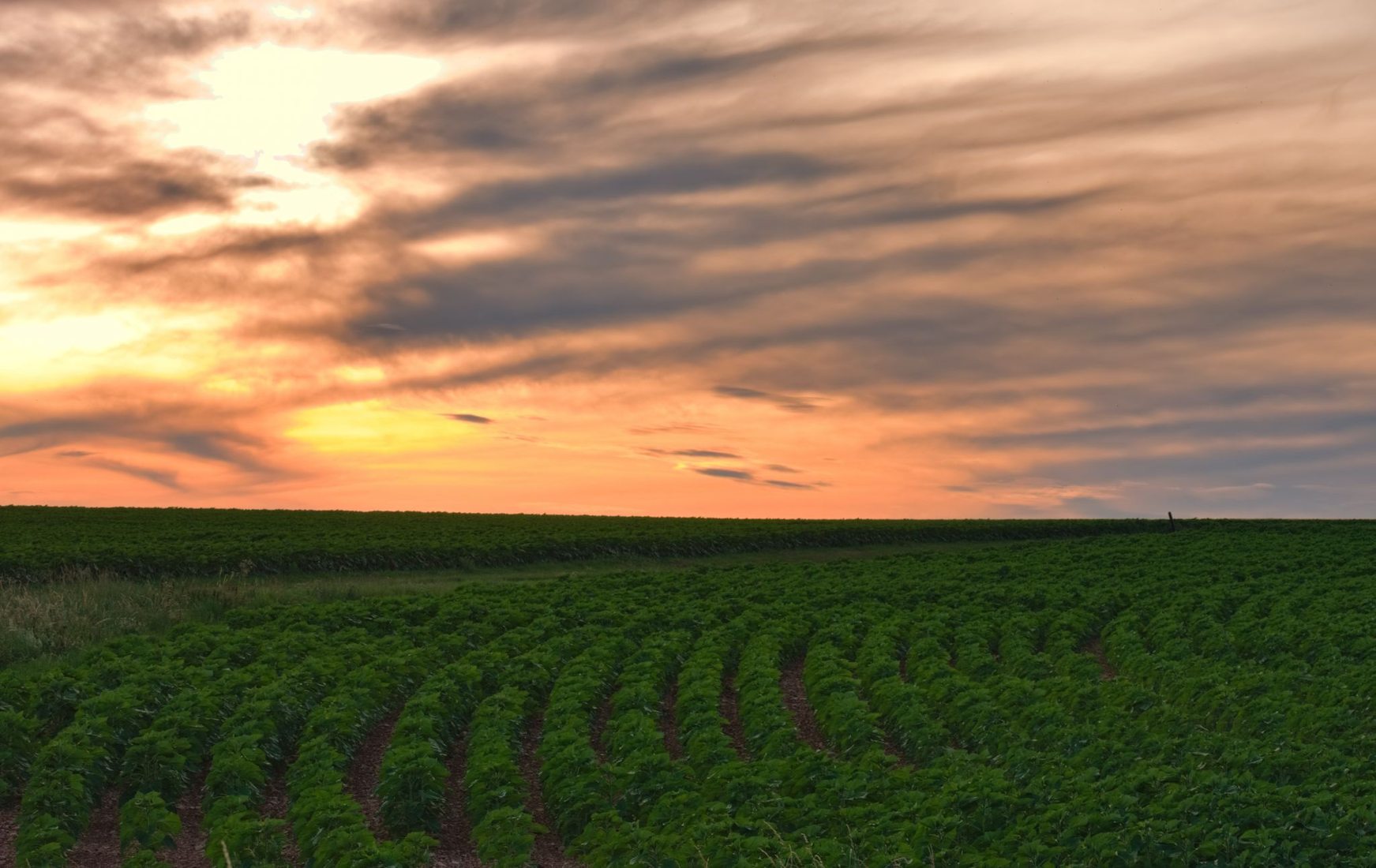Colorful sunset and fields, France