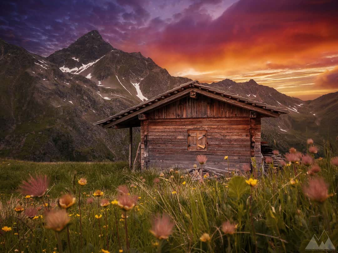 Top 110 Meadow Photo Spots in 2026