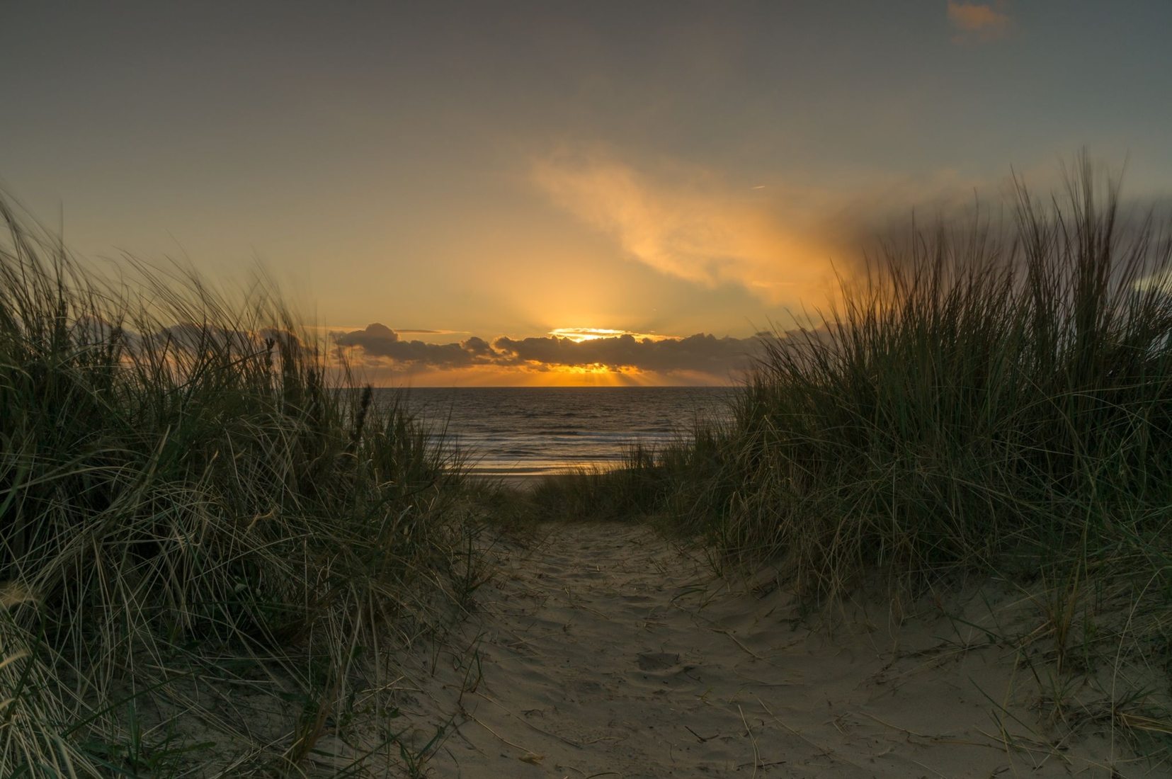 Dunes, Egmond aan Zee, Netherlands