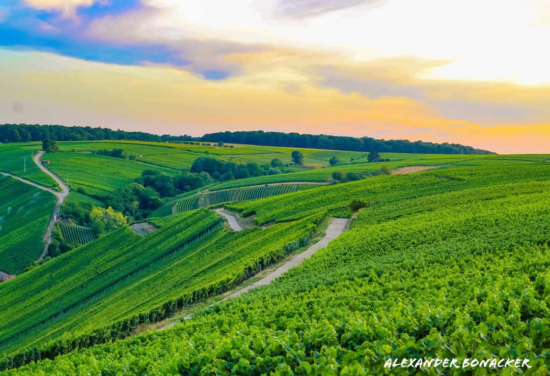 The view from Vogelsburg in Bavaria, Germany