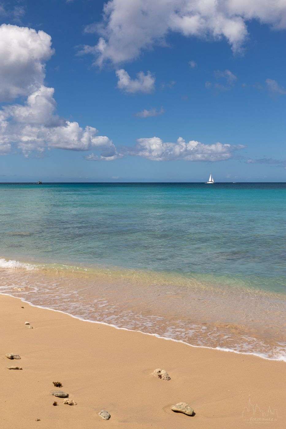 Top Photo Spots at Gibbes Beach in 2026