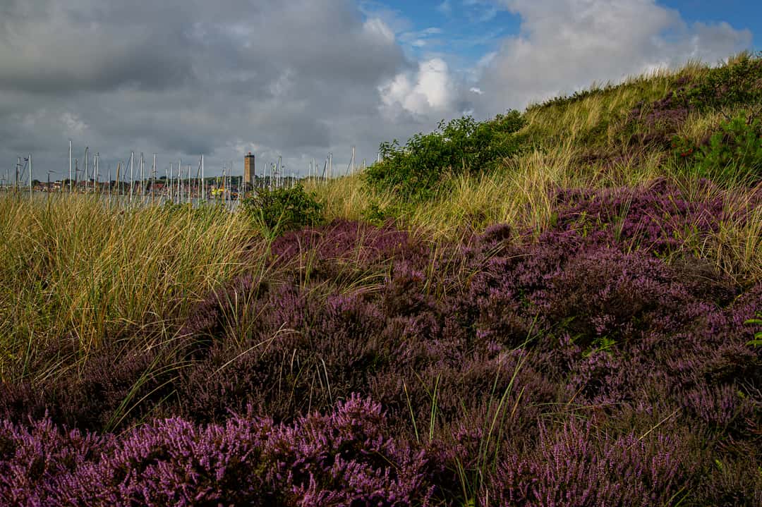 West Terschelling seen from the dunes, Netherlands