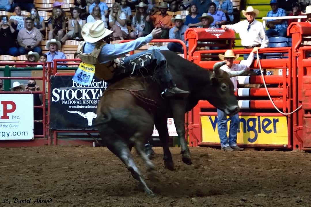 Stockyards Championship Rodeo, USA