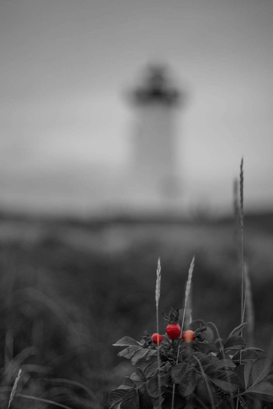 Top 3 Photo Spots at Vineyard Sound in 2026