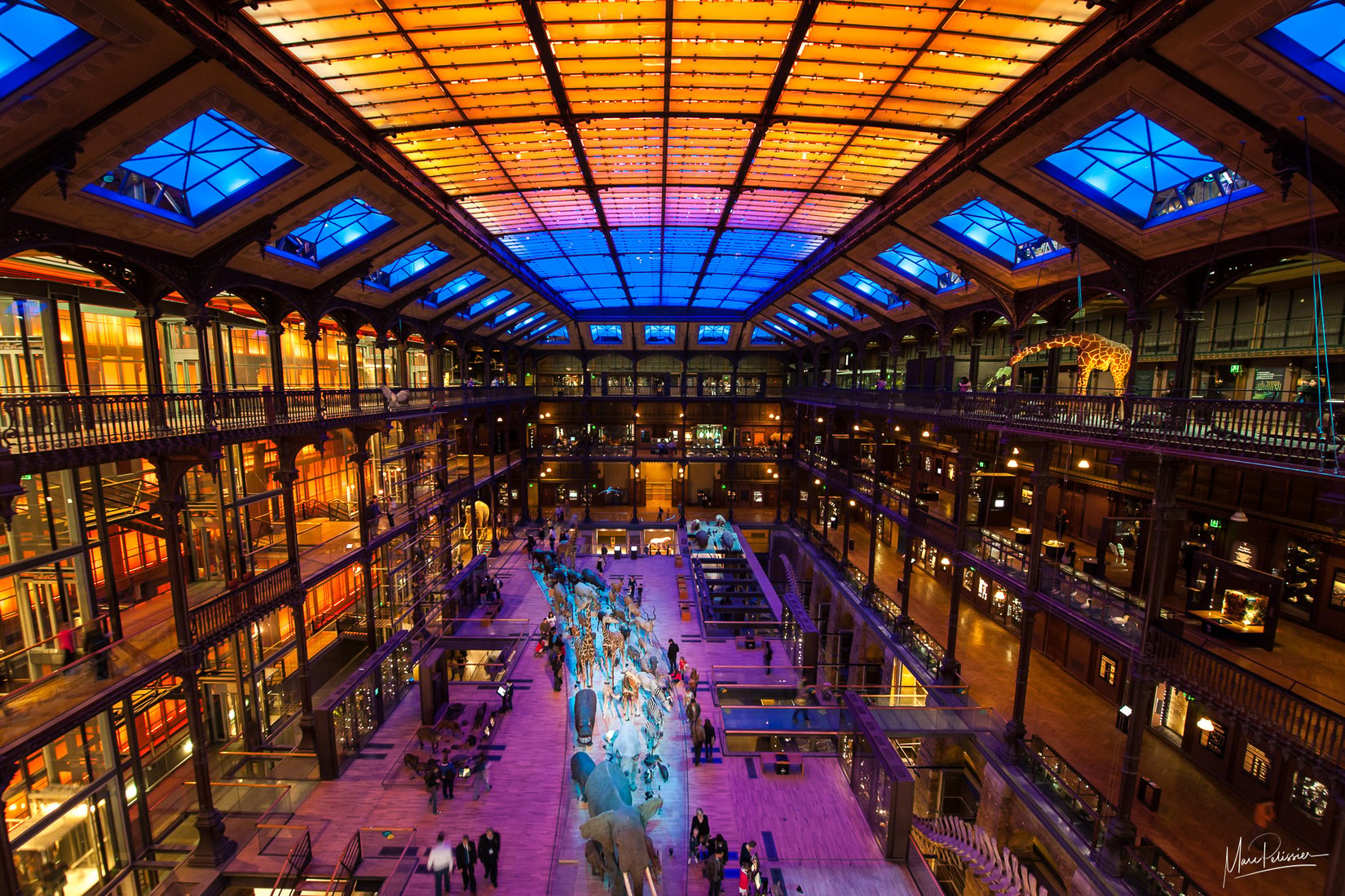 Grande galerie de l'evolution - Paris natural museum, France
