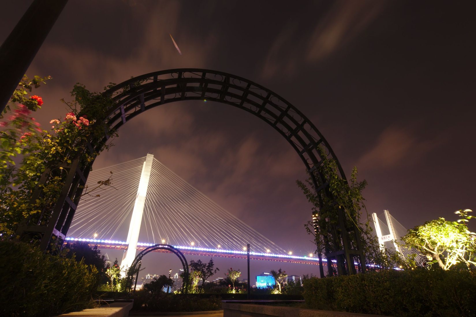 Nanpu Bridge, China