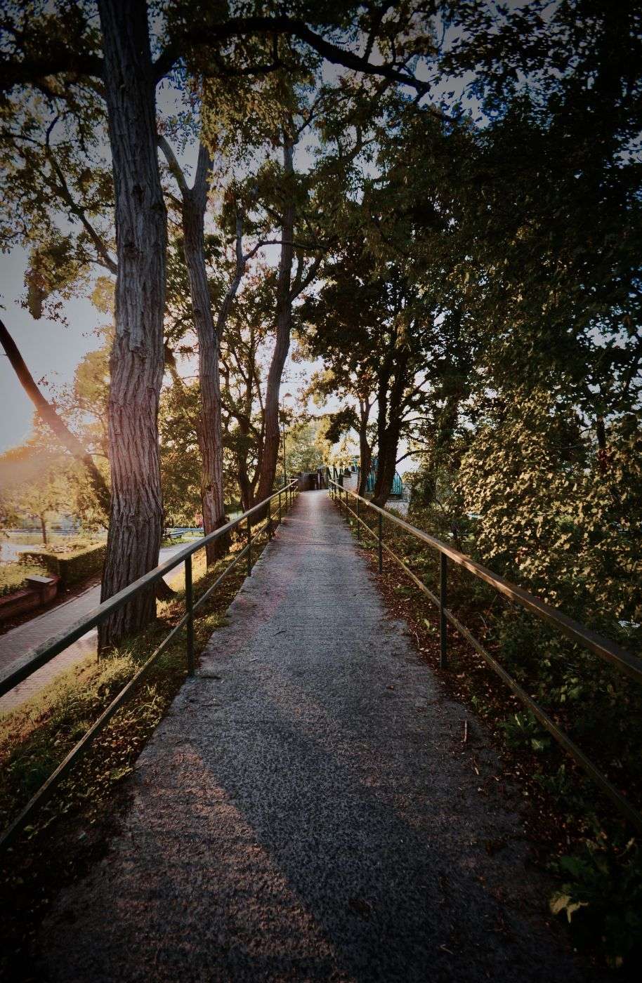 Pollare Brug - Zwarte Fles, Belgium