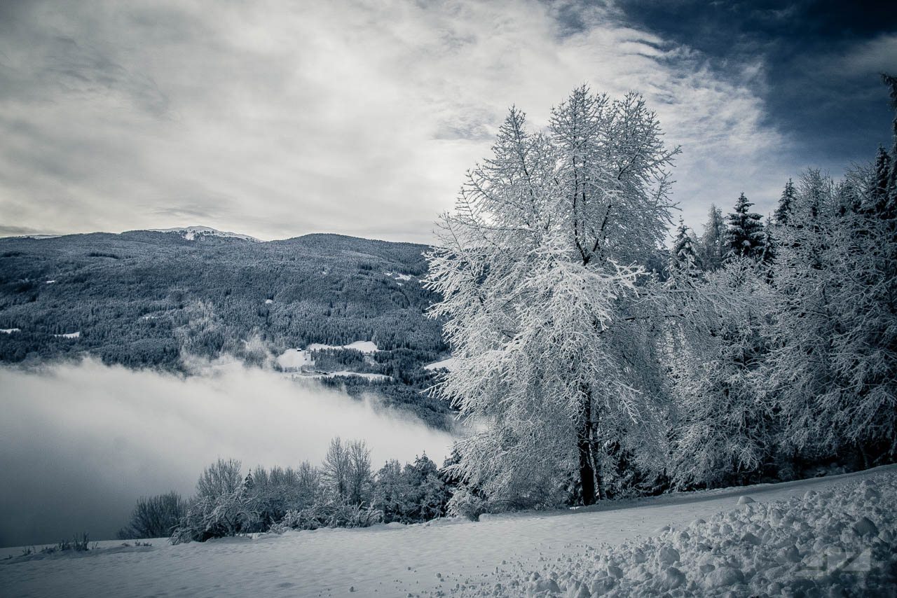 The Frozen Kingdom, Italy