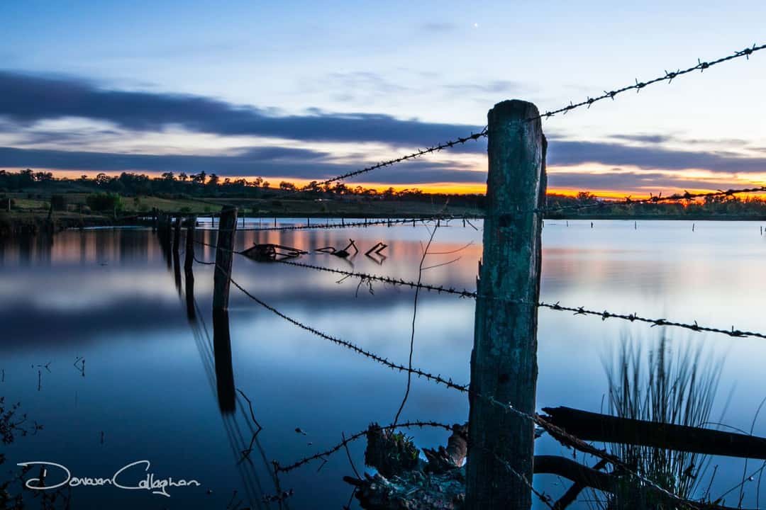 Bushells Lagoon Sunrise Freeman's Reach, Australia