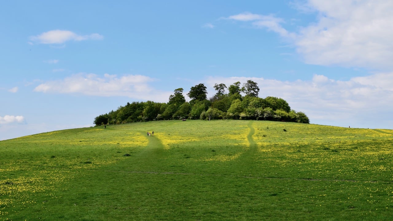 Wittenham Clumps, United Kingdom