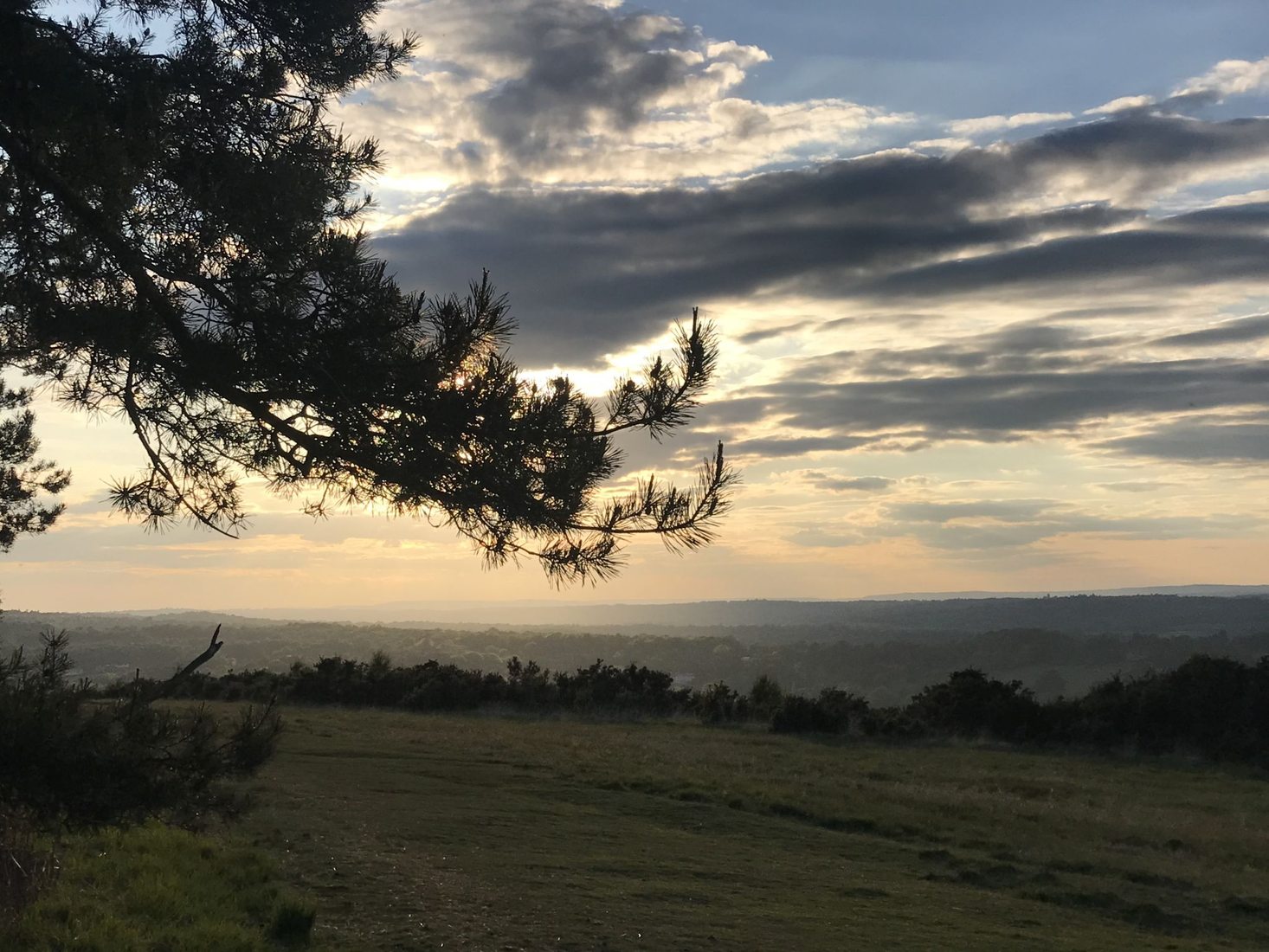 Pooh Walks, Ashdown Forest, United Kingdom