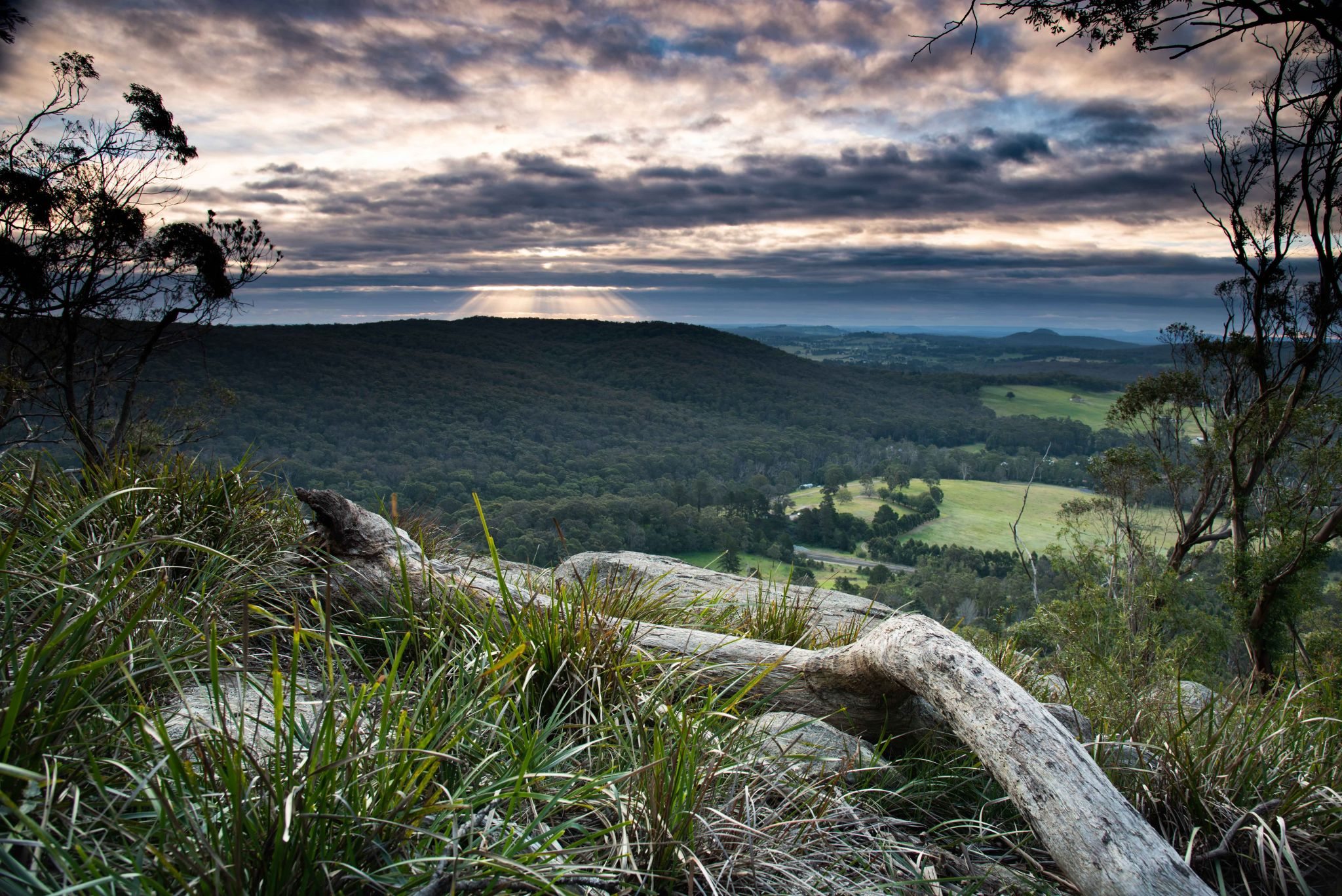 Top Photo Spots at Bowral NSW Australia in 2024