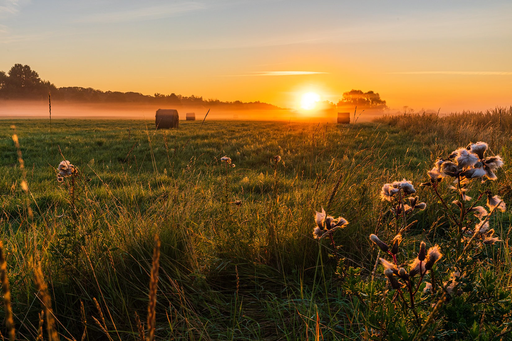 Lower Oder Valley National Park near Alt-Galow, Germany