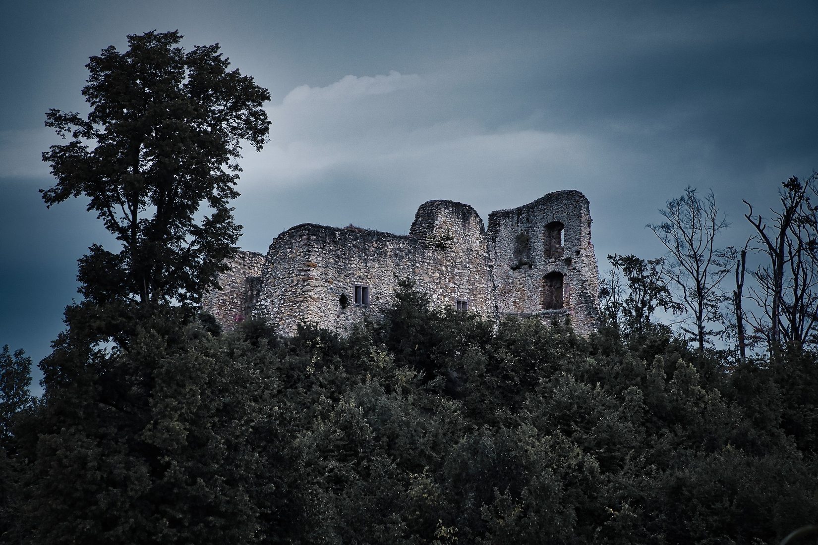Ruine Schneeburg, Freiburg im Breisgau, Germany