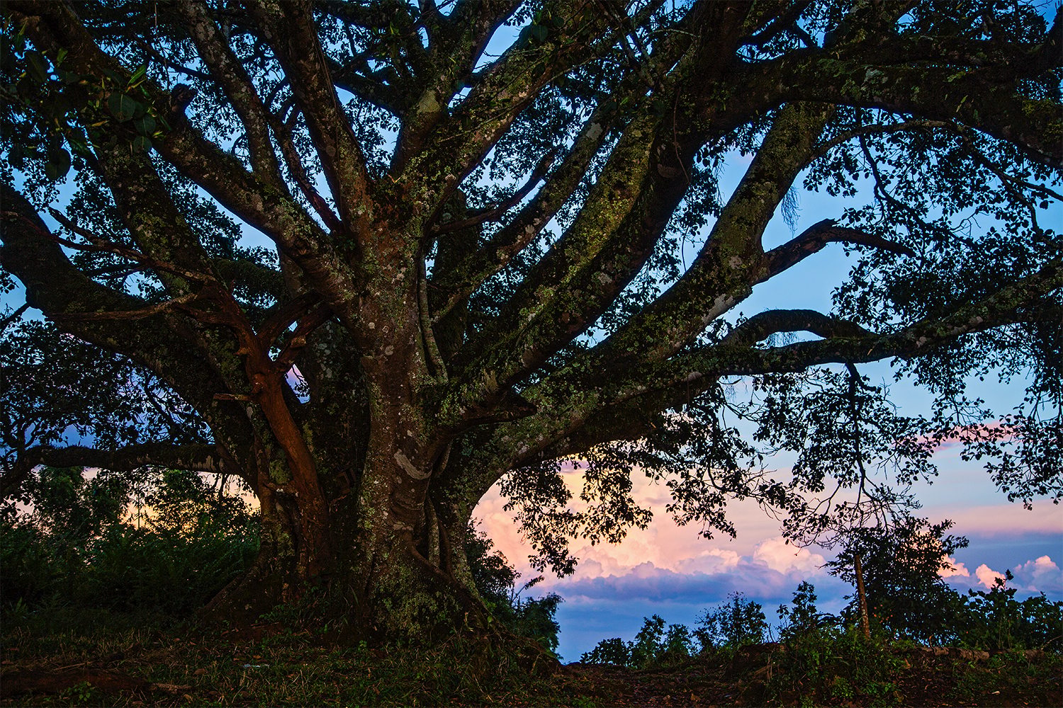 Top 7 Photo Spots at Kalaw in 2023