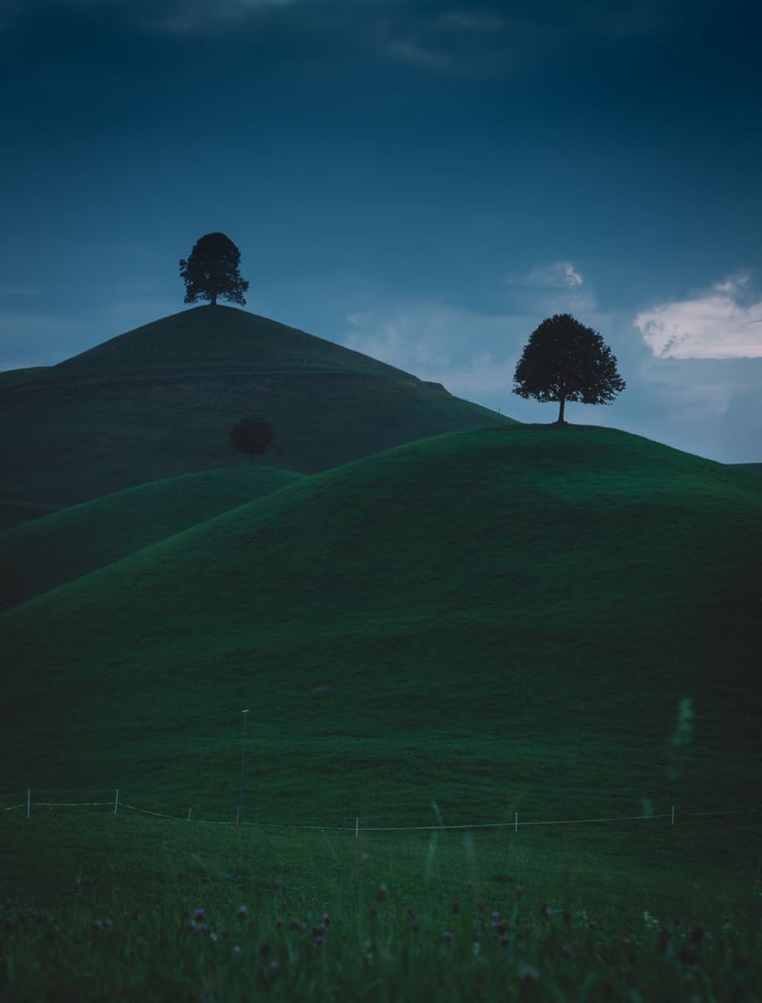 Fairy tale trees, Neuheim, Switzerland