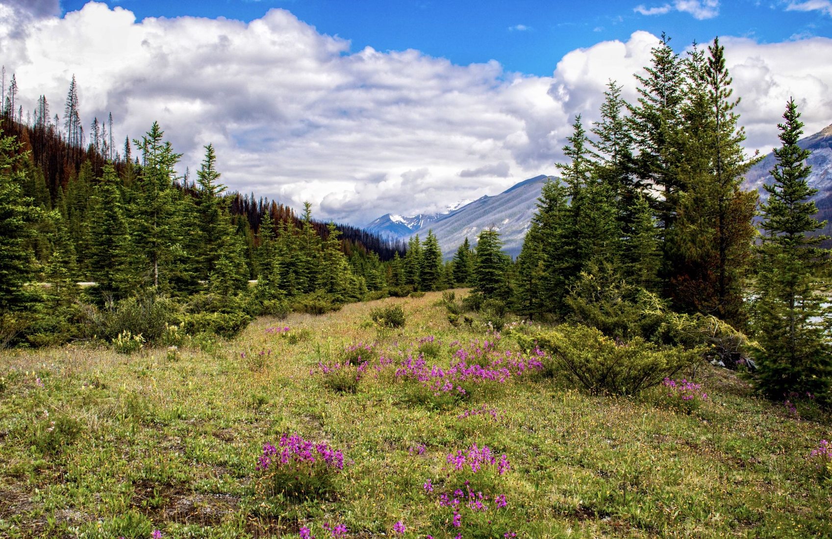 Simpson River Trailhead, Canada