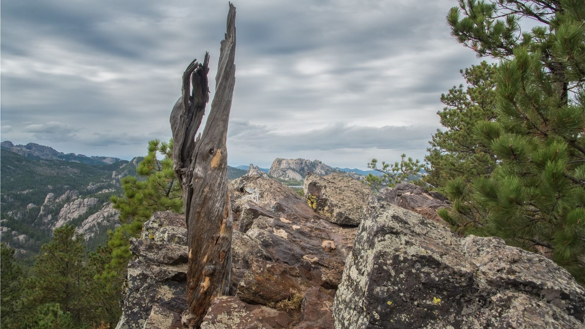 Mount Rushmore, from Norbeck Overlook, USA