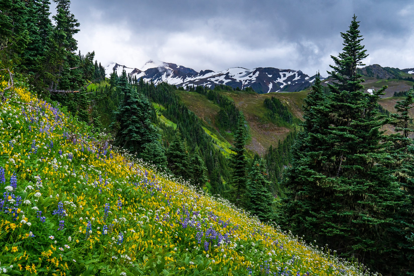 Skyline Divide, USA