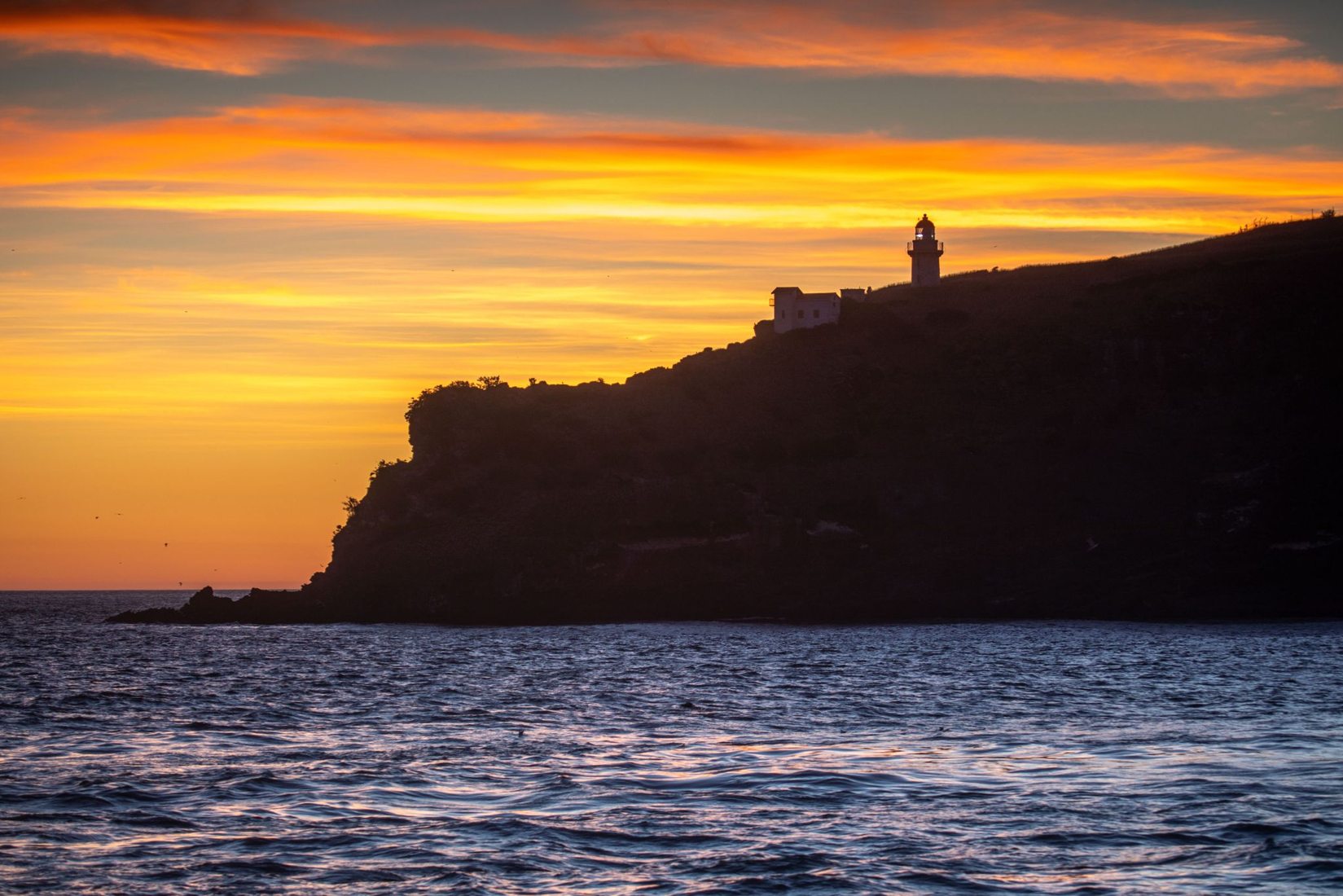 Taiaroa Head Lighthouse sunrise Dunedin South Island, New Zealand