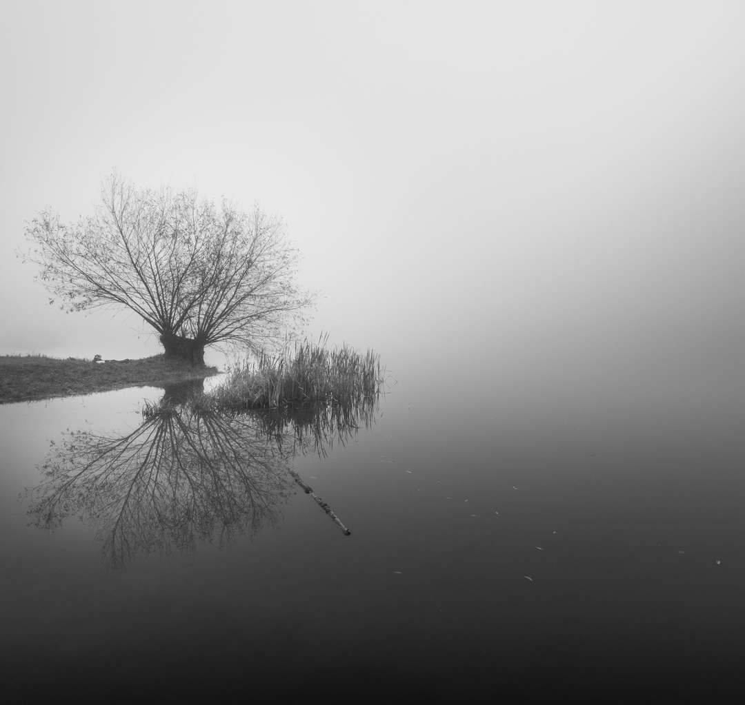 Podebrady Lake, Czechia, Czech Republic