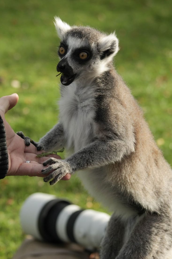 Serengeti Park Hodenhagen, Germany