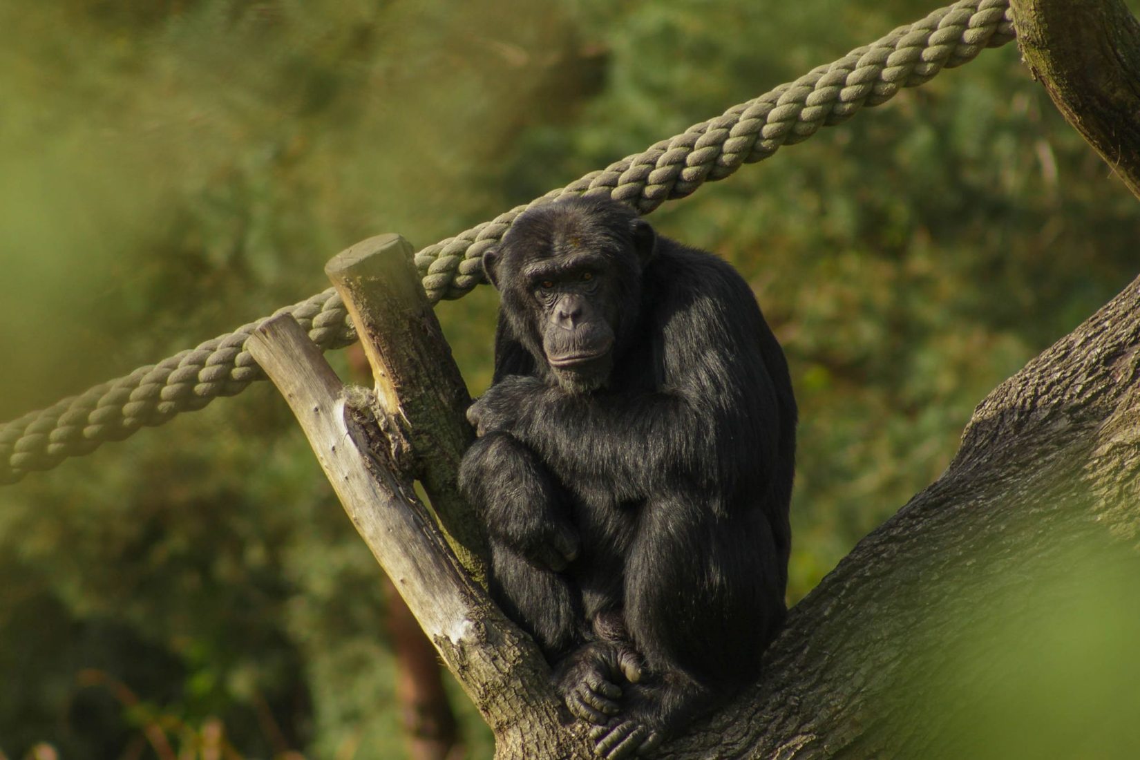 Serengeti Park Hodenhagen, Germany