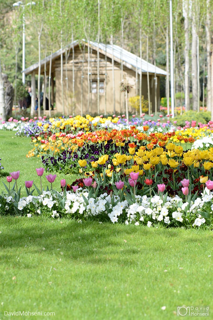 Chamran Park, Iran