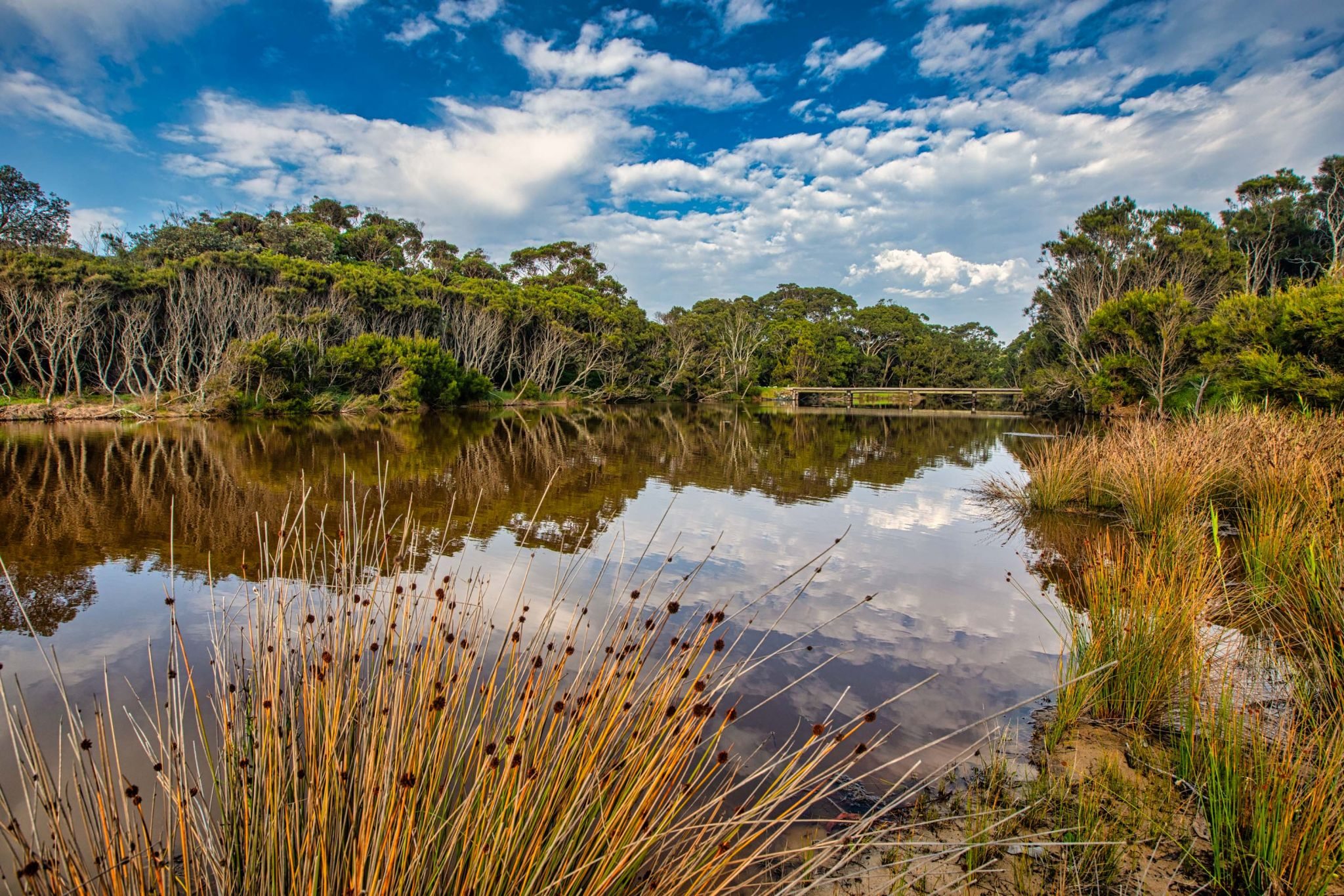 Top Photo Spots at Little Lake in 2023